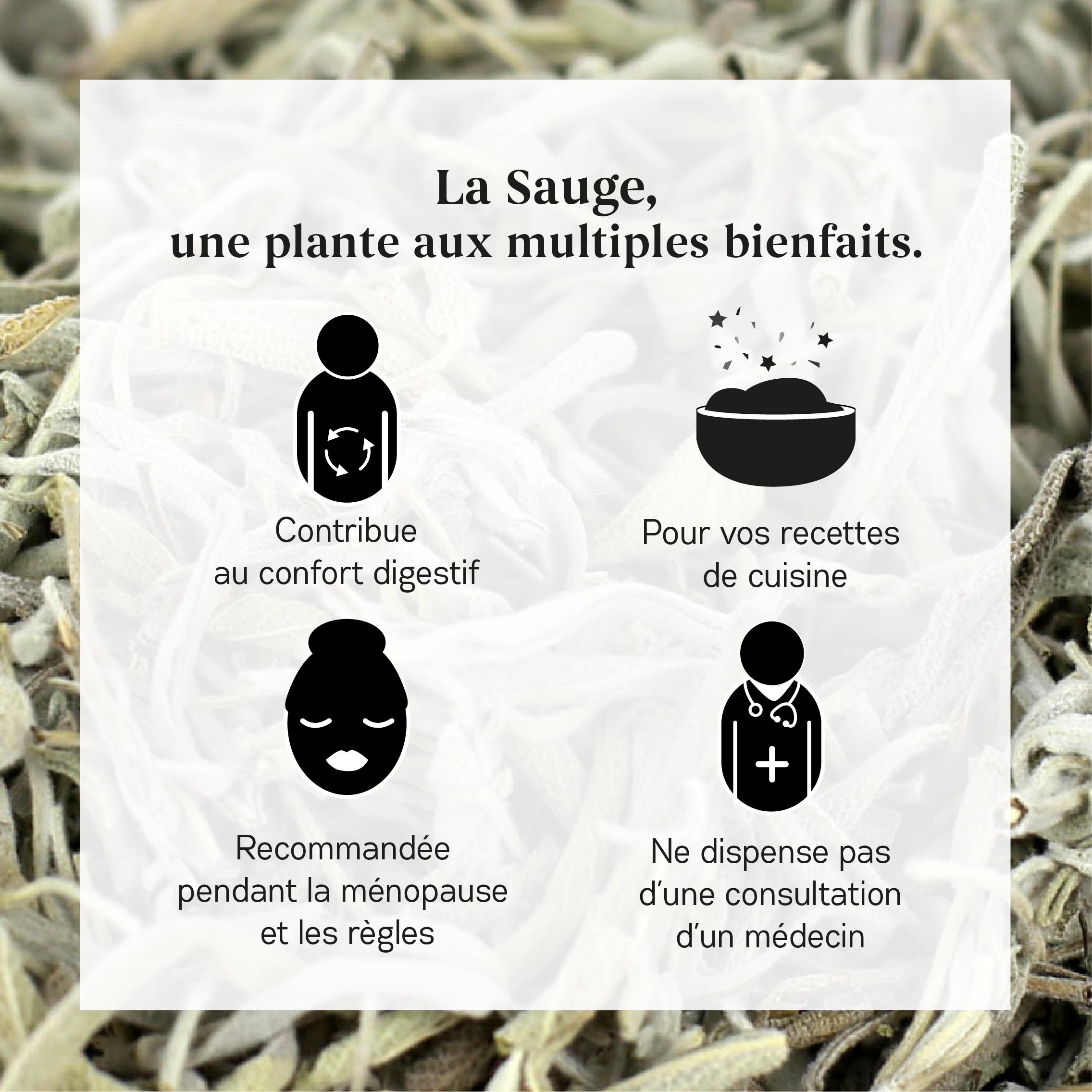 Infusion de Sauge bio - Feuille entière 50g - My Organic Infusion