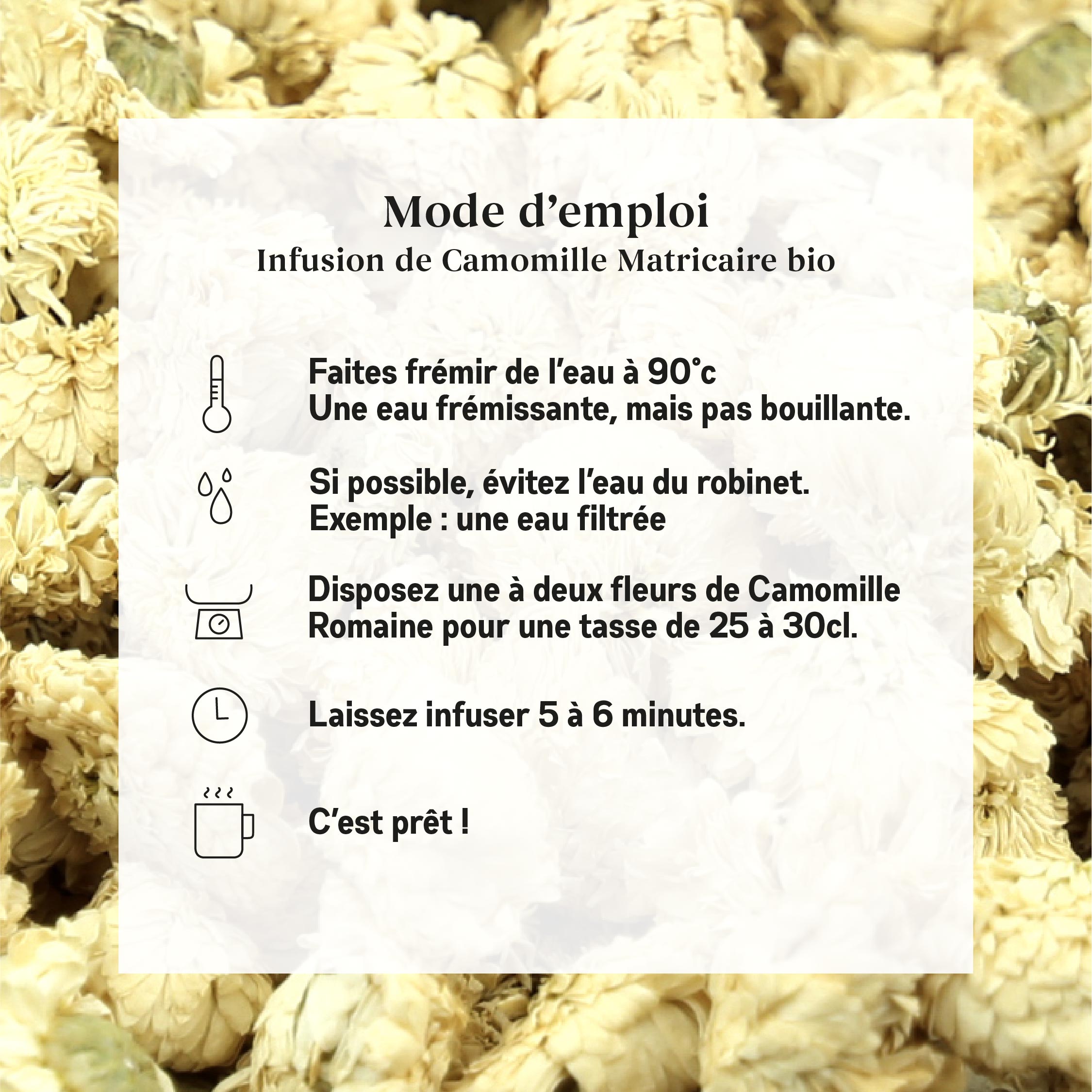 Infusion de Camomille Romaine bio Fleurs Entières - My Organic Infusion